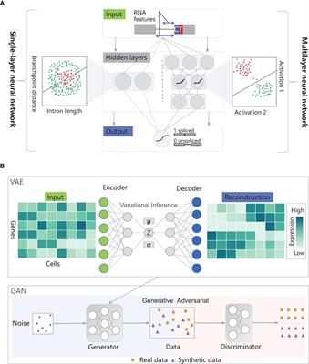 Frontiers | Deep learning-empowered crop breeding: intelligent, efficient and promising